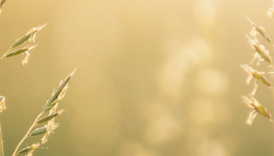 News - Pemberton Asset Management