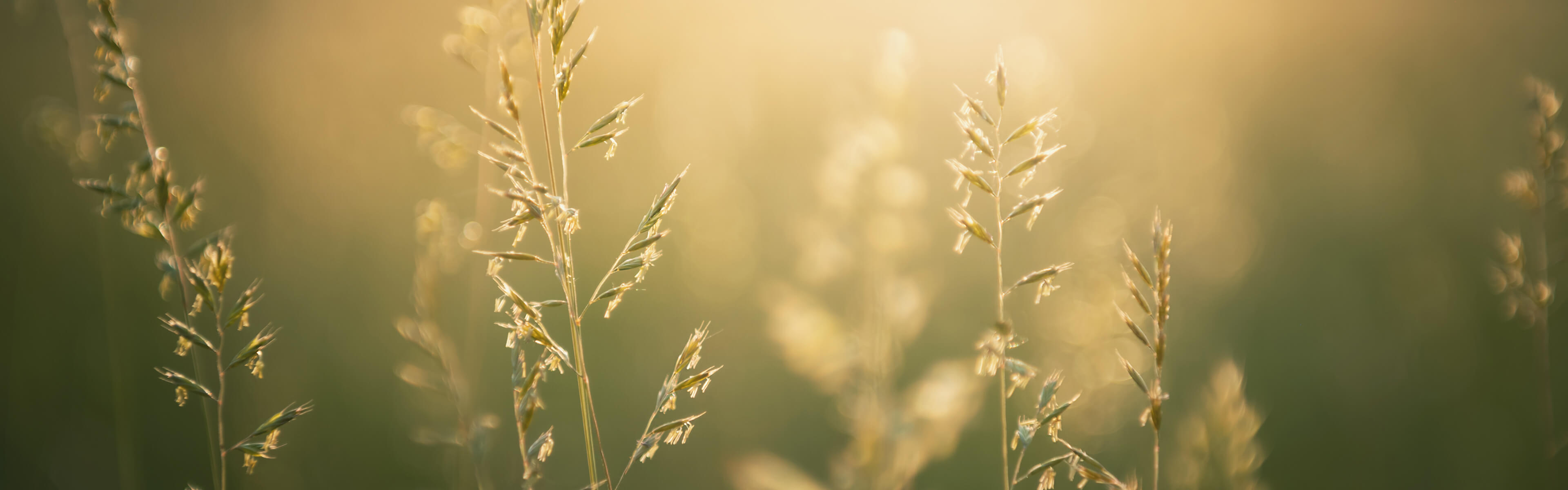 Pemberton View - Why Europe? - Pemberton Asset Management