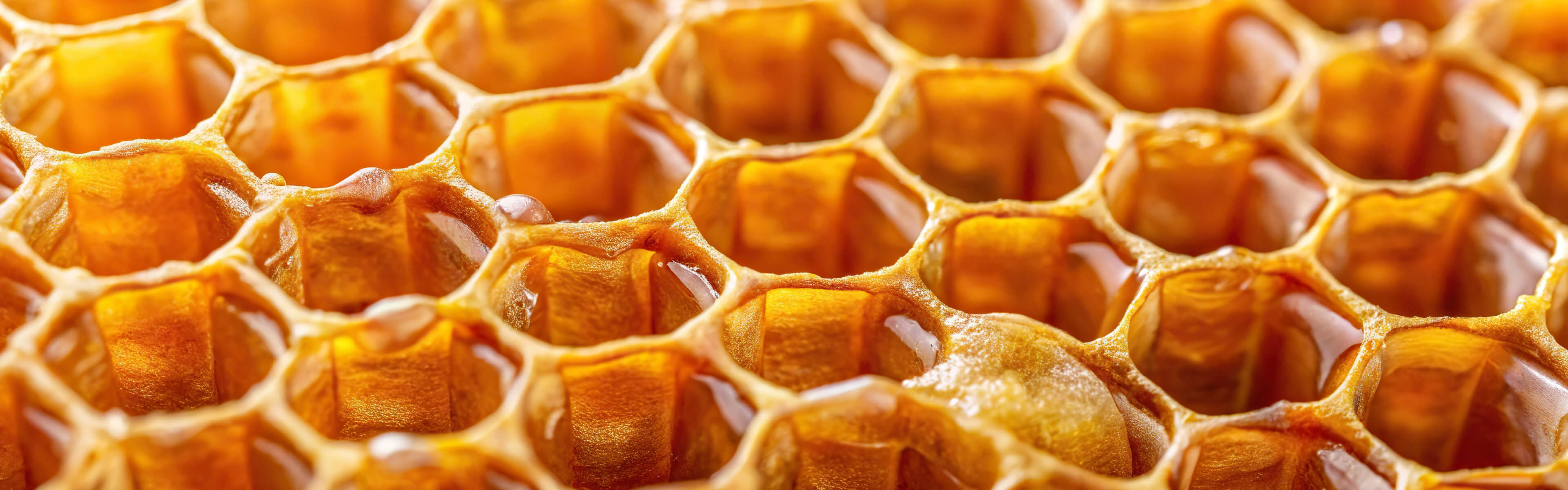 Pemberton Outlook 2025 - Pemberton Asset Management