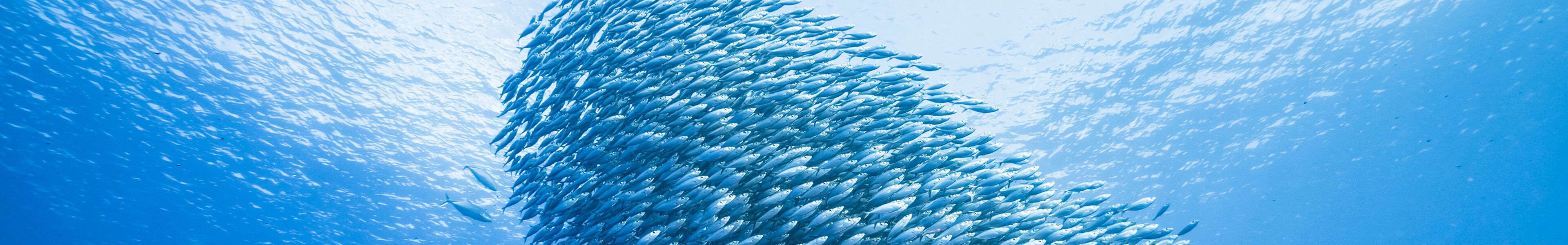 Pemberton announces First Close at over US$1Bn of investible capital ...