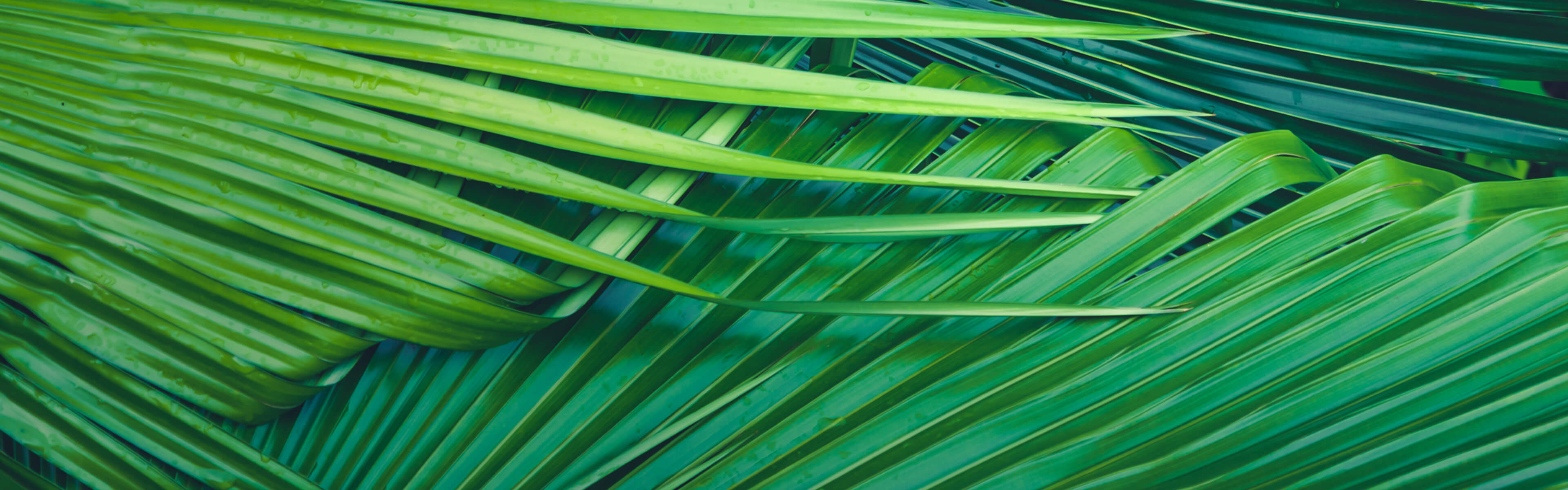 Pemberton achieves 10th PDI Global Award in 8 years - Pemberton Asset ...