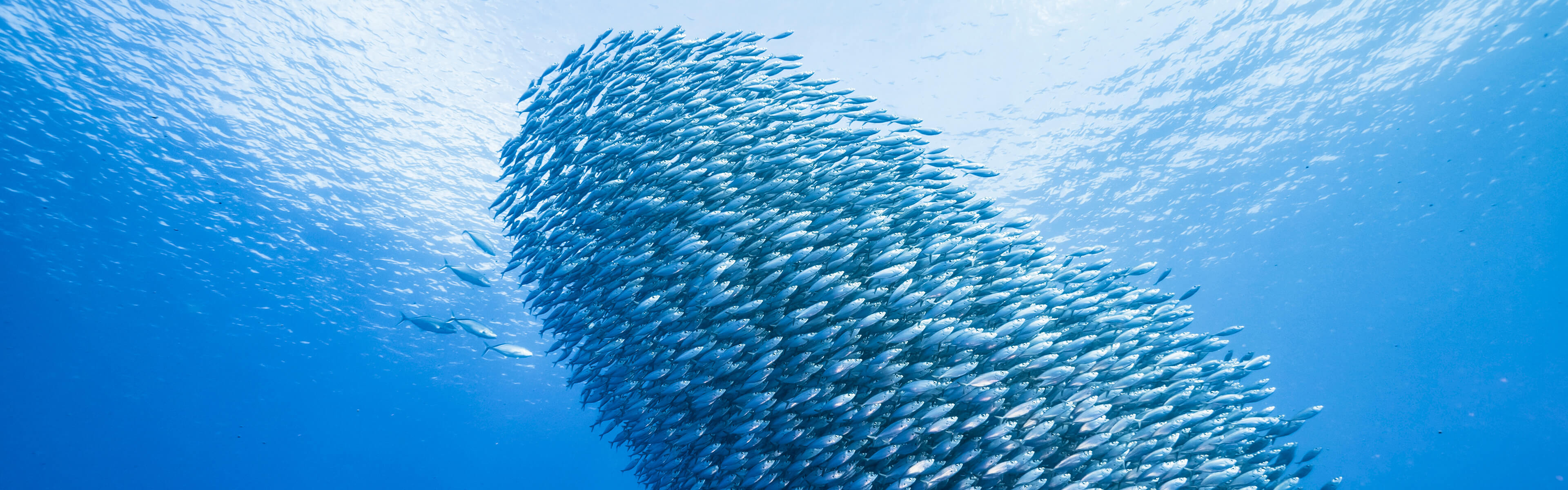 Pemberton announces First Close at over US$1Bn of investible capital ...