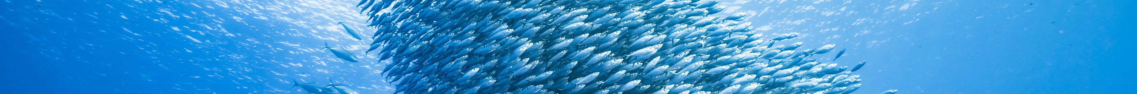 NAV Financing - Pemberton Asset Management