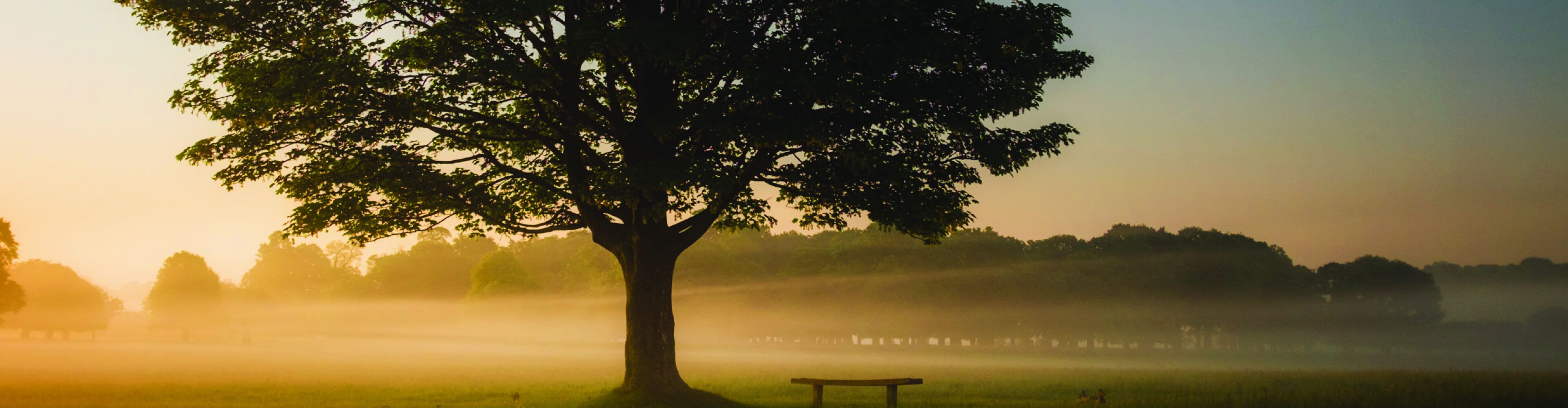 Home Page - Pemberton Asset Management