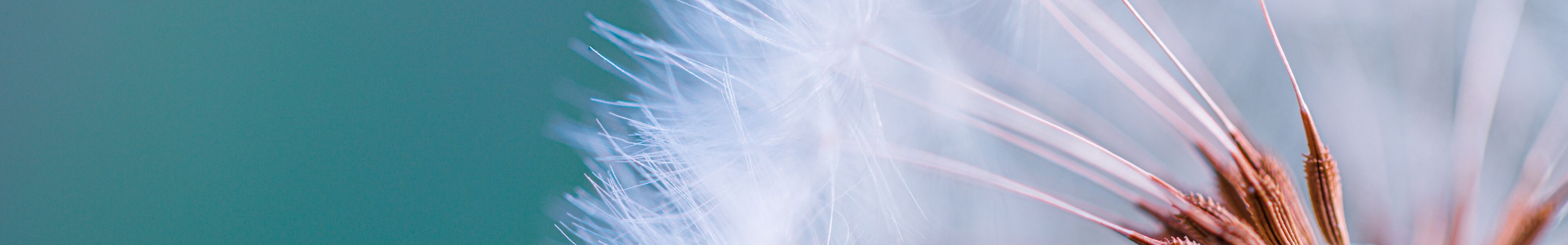 Pemberton Provides €150m Financing Package for ICG's Acquisition of Excellera Advisory Group ...