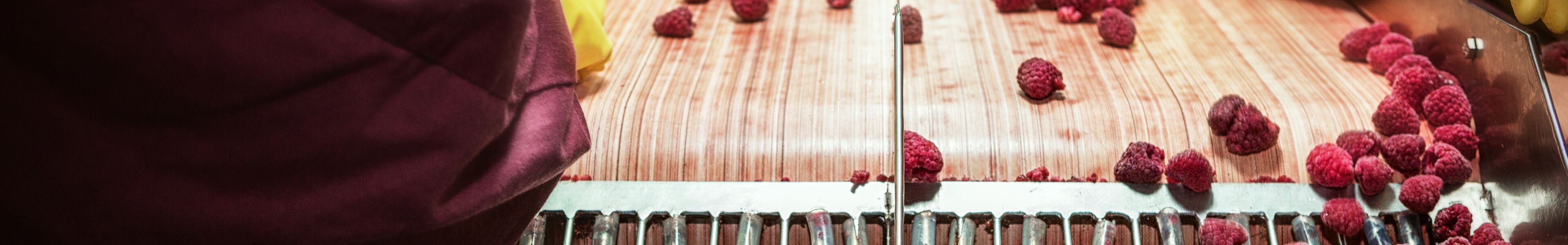 Pemberton Sectorial Series: Food Manufacturing - Pemberton Asset Management