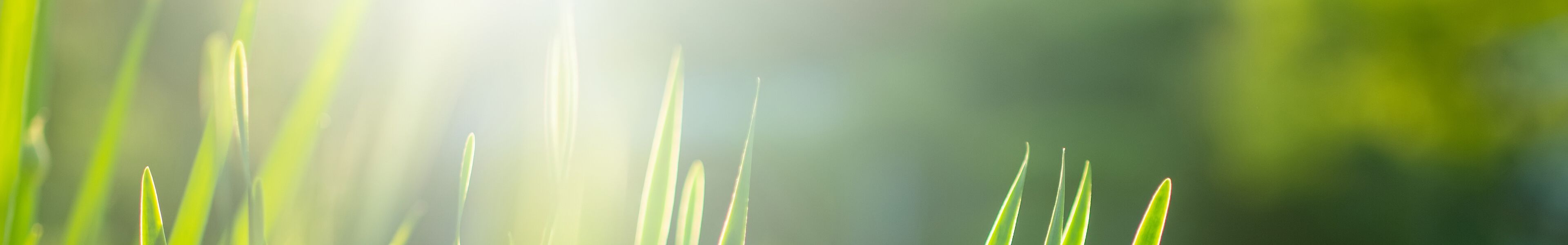 Pemberton supports Valcon and its new majority shareholder, Rivean ...