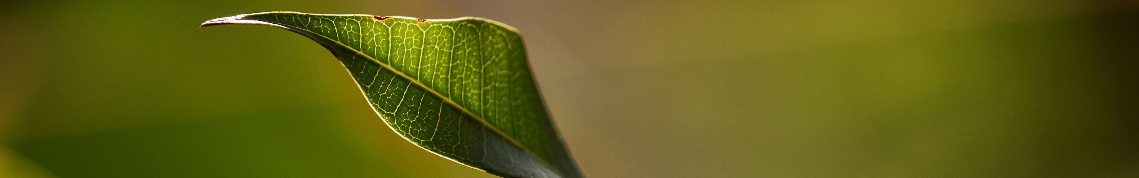 Pemberton TCFD Report 2023 - Pemberton Asset Management