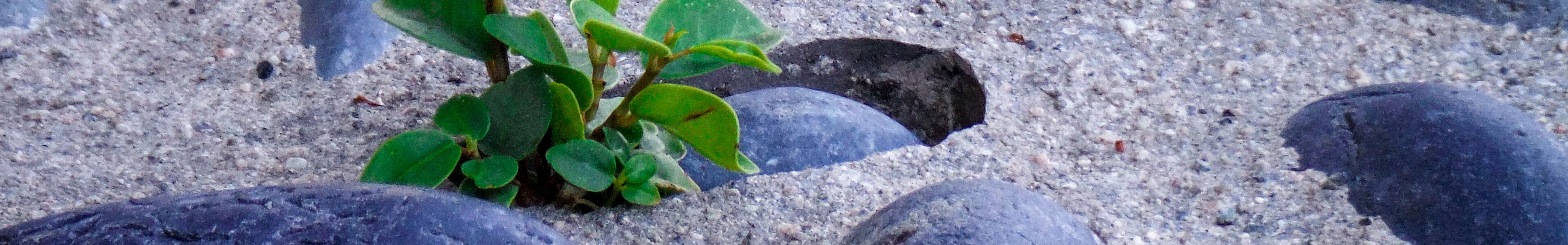 Direct Lending - Pemberton Asset Management