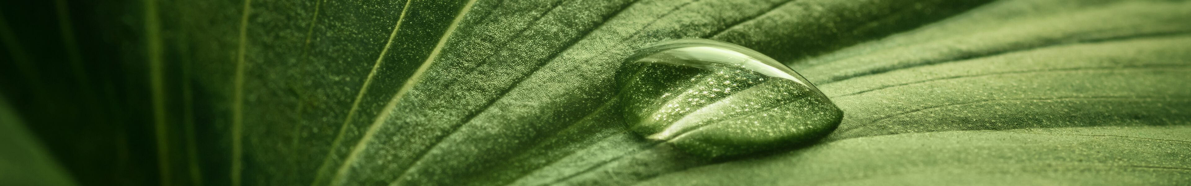 Connecting Capital | Pemberton Asset Management