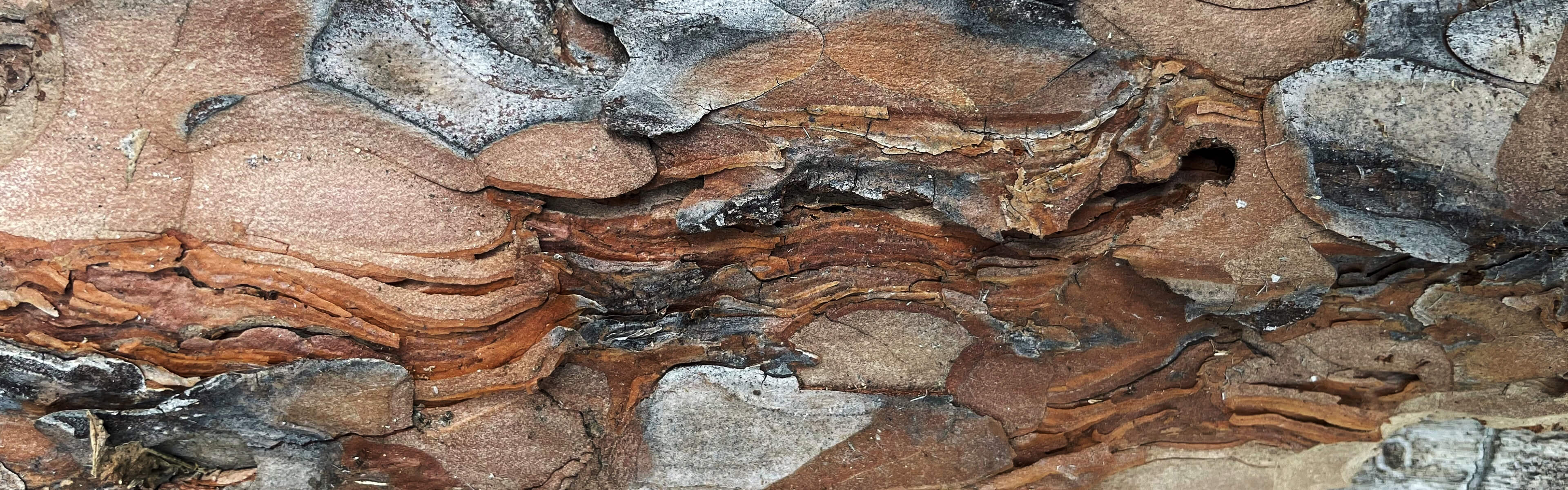 Private Debt Summit 2016 - Pemberton Asset Management