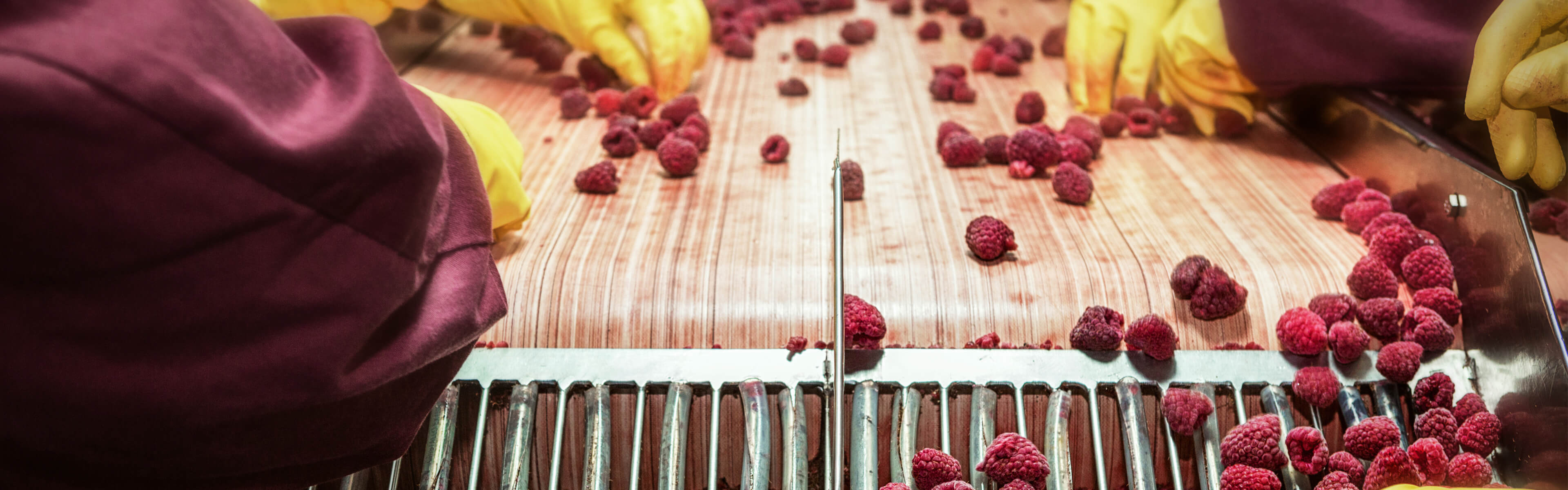 Pemberton Sectorial Series: Food Manufacturing - Pemberton Asset Management