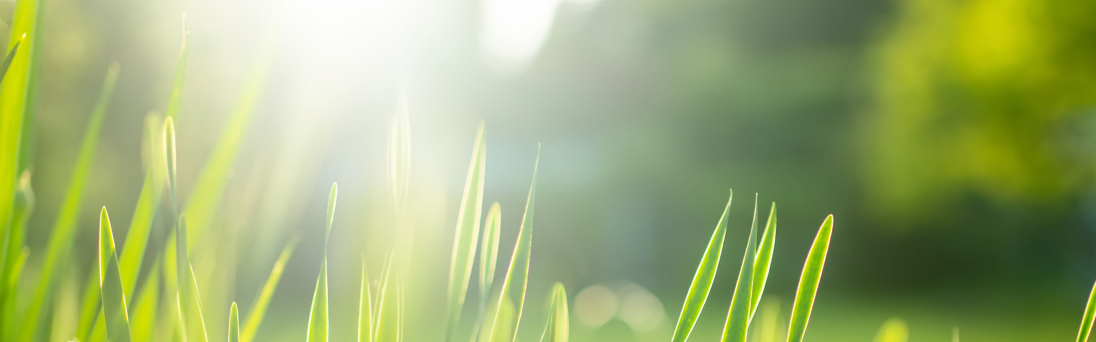 Pemberton supports Valcon and its new majority shareholder, Rivean ...