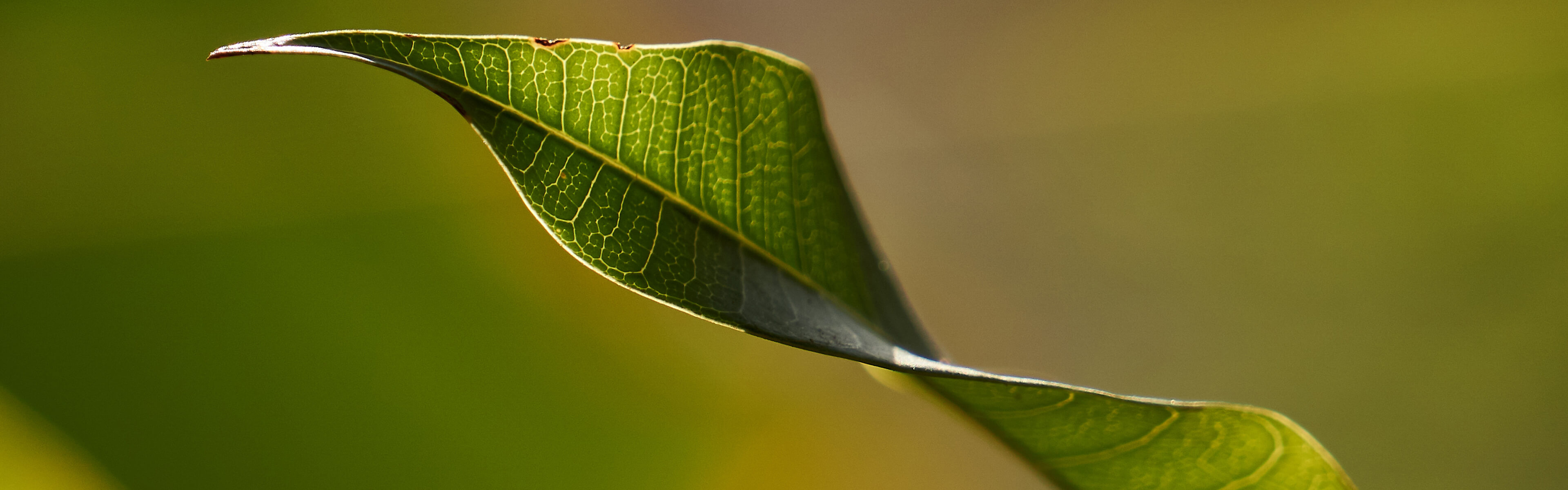 Pemberton TCFD Report 2023 - Pemberton Asset Management