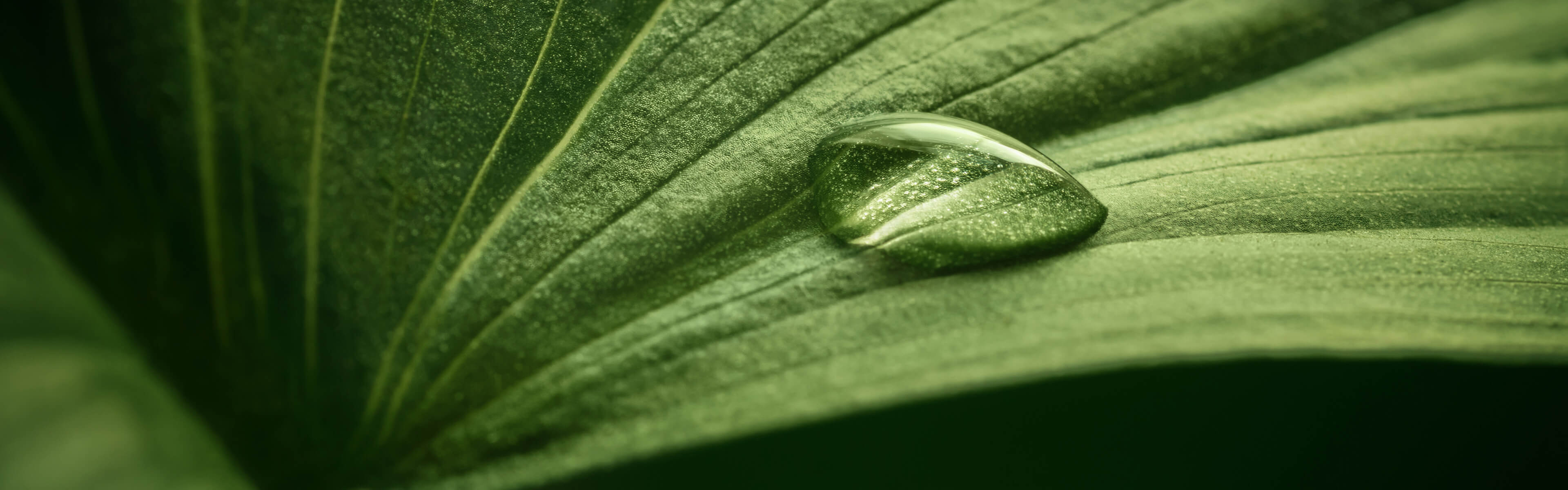 Connecting Capital | Pemberton Asset Management