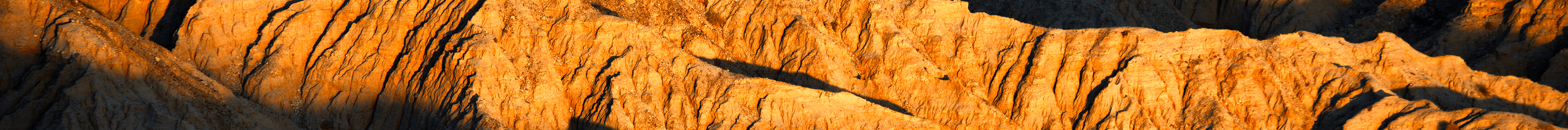 Executive Director, Portfolio Management Archives - Pemberton Asset ...