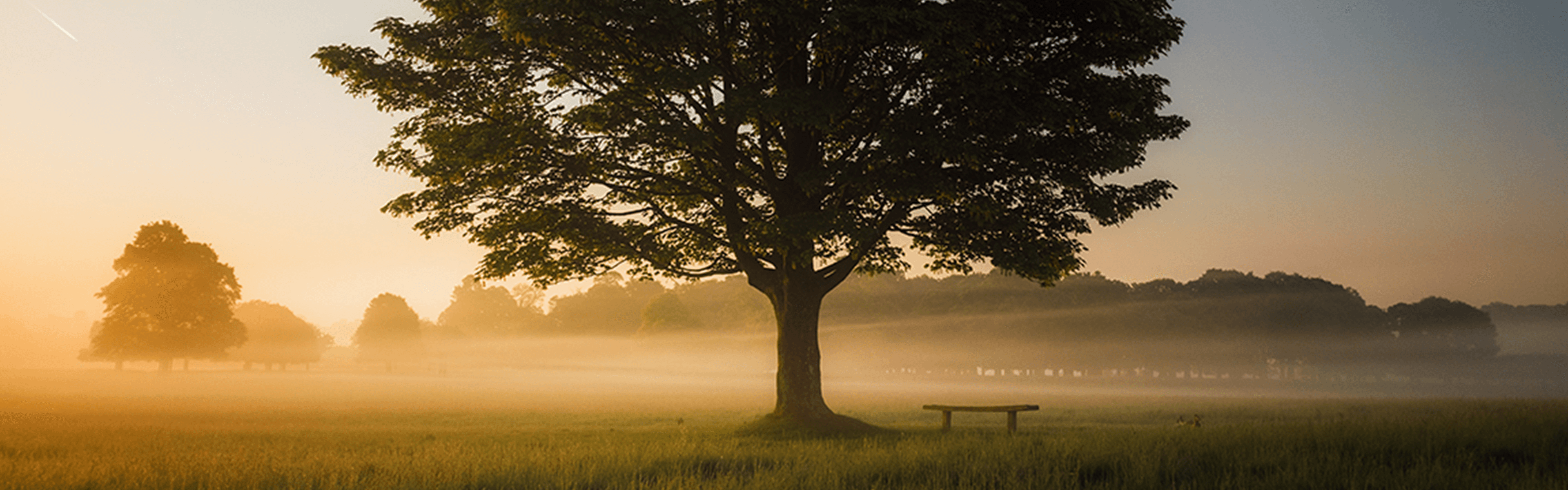 Pemberton Responsible Investing Policy Overview - Pemberton Asset ...